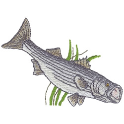 Striped Bass Embroidery Design | EmbroideryDesigns.com