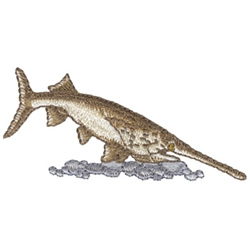 Paddlefish Embroidery Design | EmbroideryDesigns.com