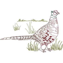 Pheasant Embroidery Design | EmbroideryDesigns.com