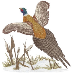 Flying Pheasant Embroidery Design | EmbroideryDesigns.com