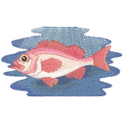 Ocean Perch Embroidery Design | EmbroideryDesigns.com