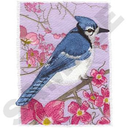 Blue Jay Embroidery Design | EmbroideryDesigns.com