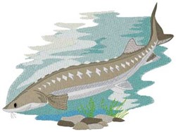 White Sturgeon Embroidery Design | EmbroideryDesigns.com