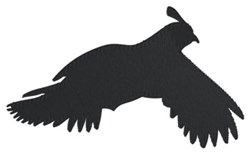 Flying Quail Embroidery Design | EmbroideryDesigns.com