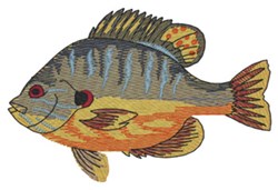 Pumpkin Seed Sunfish Embroidery Design | EmbroideryDesigns.com