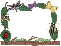 Insect Border Embroidery Design | EmbroideryDesigns.com