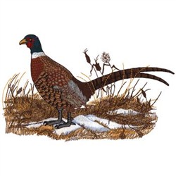 Pheasant Embroidery Design | EmbroideryDesigns.com