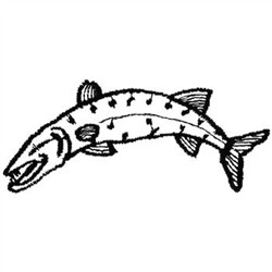Musky Coloring Page Coloring Pages