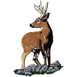 Deer Embroidery Design | EmbroideryDesigns.com