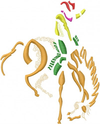 Rodeo Bucking Horse Embroidery Design | EmbroideryDesigns.com