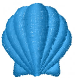 Clam Shell Embroidery Design | EmbroideryDesigns.com