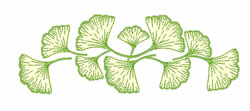 Ginko Leaves Embroidery Design | EmbroideryDesigns.com