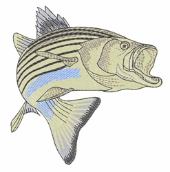 Striped Bass Embroidery Design | EmbroideryDesigns.com