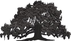 Oak Tree Embroidery Design | EmbroideryDesigns.com