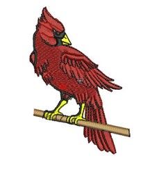 Free Red Cardinal Embroidery Design | EmbroideryDesigns.com