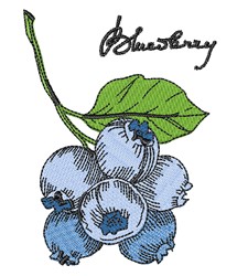 Blueberry Embroidery Design | EmbroideryDesigns.com