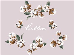 Cotton Embroidery Design | EmbroideryDesigns.com