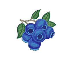 Blueberries Embroidery Design | EmbroideryDesigns.com