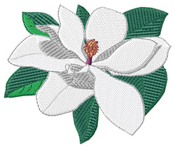 Magnolia Embroidery Design | EmbroideryDesigns.com