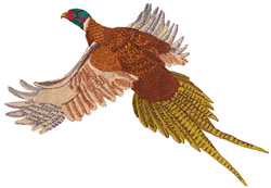 Pheasant Embroidery Design | EmbroideryDesigns.com