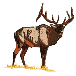 Elk Embroidery Design | EmbroideryDesigns.com