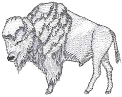 White Buffalo Embroidery Design | EmbroideryDesigns.com