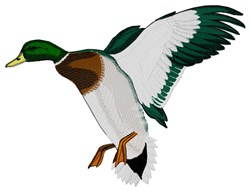 Mallard Embroidery Design | EmbroideryDesigns.com