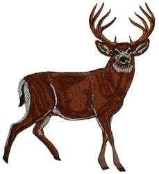 Deer Embroidery Design | EmbroideryDesigns.com
