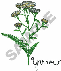 YARROW Embroidery Design | EmbroideryDesigns.com
