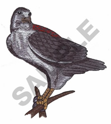 HAWK Embroidery Design | EmbroideryDesigns.com