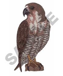FALCON Embroidery Design | EmbroideryDesigns.com