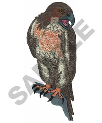 HAWK Embroidery Design | EmbroideryDesigns.com