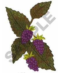 RASPBERRIES Embroidery Design | EmbroideryDesigns.com