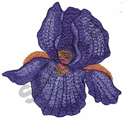 IRIS Embroidery Design | EmbroideryDesigns.com