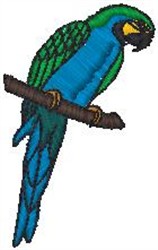 Macaw Embroidery Design | EmbroideryDesigns.com