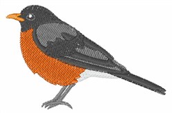 American Robin Embroidery Design | EmbroideryDesigns.com