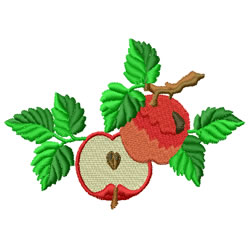 Apples Embroidery Design | EmbroideryDesigns.com