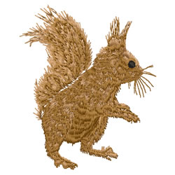 Squirrel Embroidery Design | EmbroideryDesigns.com