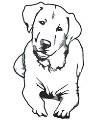 Dog Outline Embroidery Design | EmbroideryDesigns.com