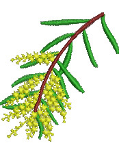 Wattle Embroidery Design | EmbroideryDesigns.com