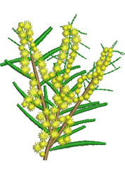 Candlewick Wattle Embroidery Design | EmbroideryDesigns.com