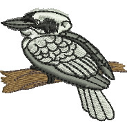 Kookaburra Embroidery Design | EmbroideryDesigns.com