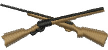 Crossed Rifles Embroidery Design | EmbroideryDesigns.com
