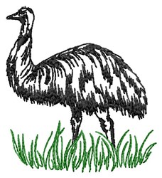 Emu Embroidery Design | EmbroideryDesigns.com