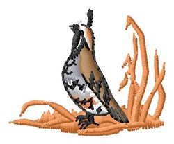 Quail Embroidery Design | EmbroideryDesigns.com