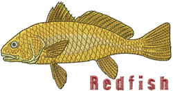 Redfish Embroidery Design | EmbroideryDesigns.com