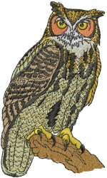 Owl Embroidery Design | EmbroideryDesigns.com