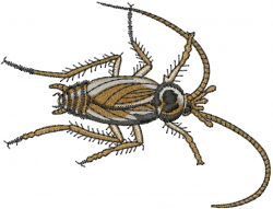 Cockroach Roach Embroidery Design | EmbroideryDesigns.com