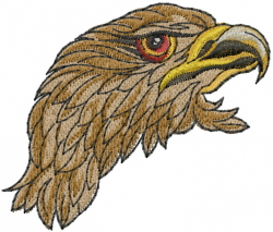 Hawk Head Embroidery Design | EmbroideryDesigns.com