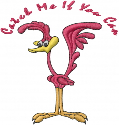 Roadrunner Embroidery Design | EmbroideryDesigns.com
